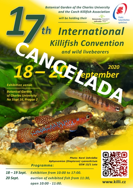 Spanish Killifish Society (Sociedad Española de Killis - SEK)